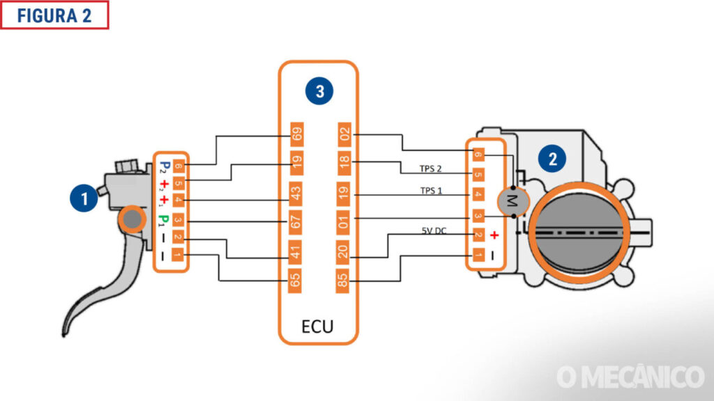 CONCEITO E-GAS: ACELERADOR ELETRÔNICO - Revista O Mecânico
